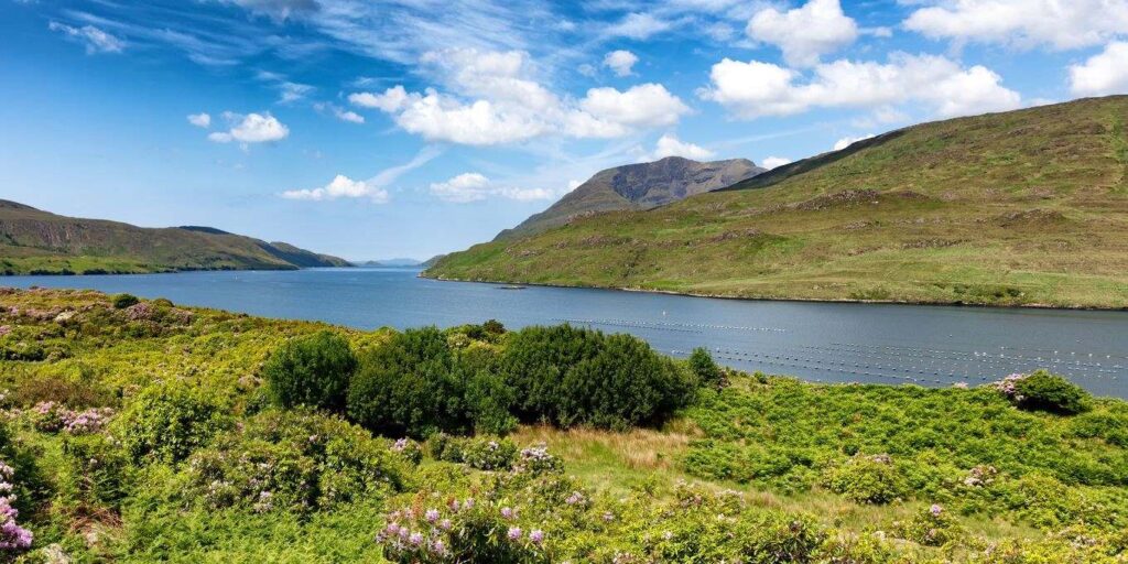 Killary Harbour: Connemara’s Fjord | Discover Connemara | Tourist ...