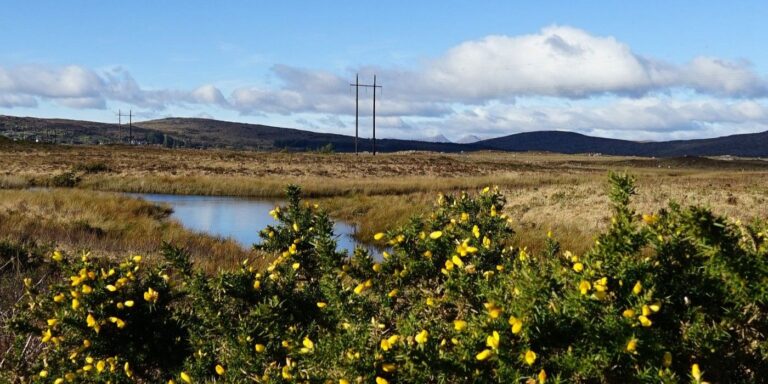 Discover the Wild Atlantic Soul of Carna Connemara | Discover Connemara ...